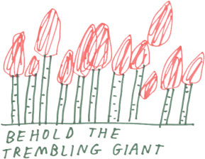 Pando the Tree | Pando Populus