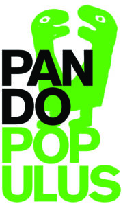 Pando Populus | We're all connected