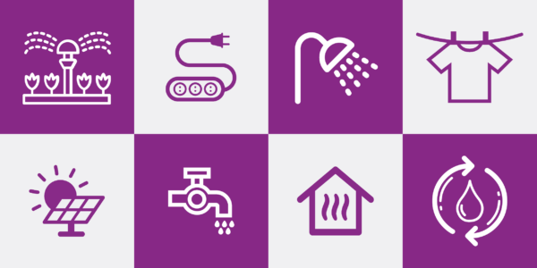 Magenta House - Resources - Pando Populus