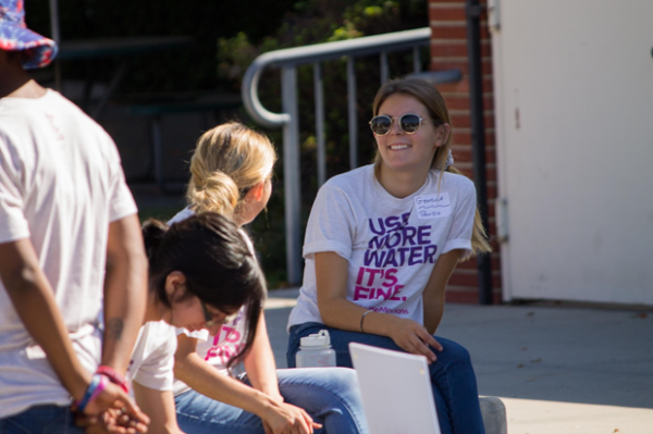 Magenta House Accelerator - Pando Populus