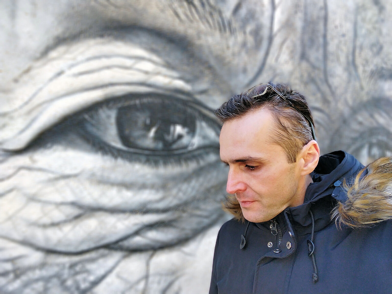 Home - Pando Populus