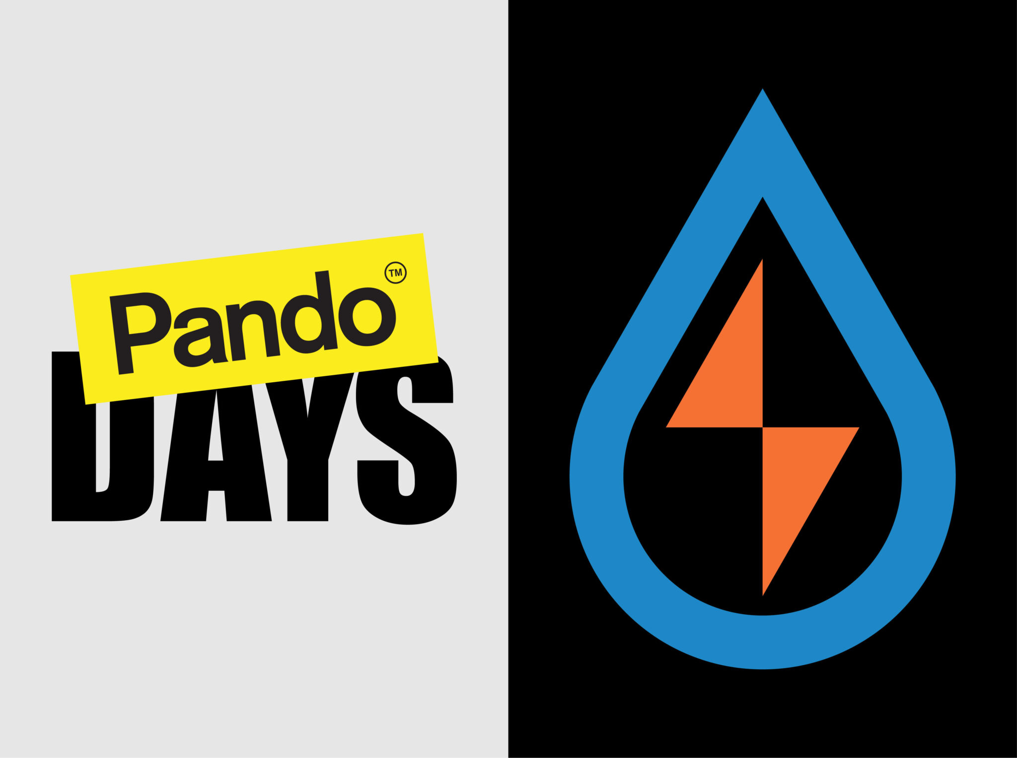 Pando Days '24/25 - Pando Populus
