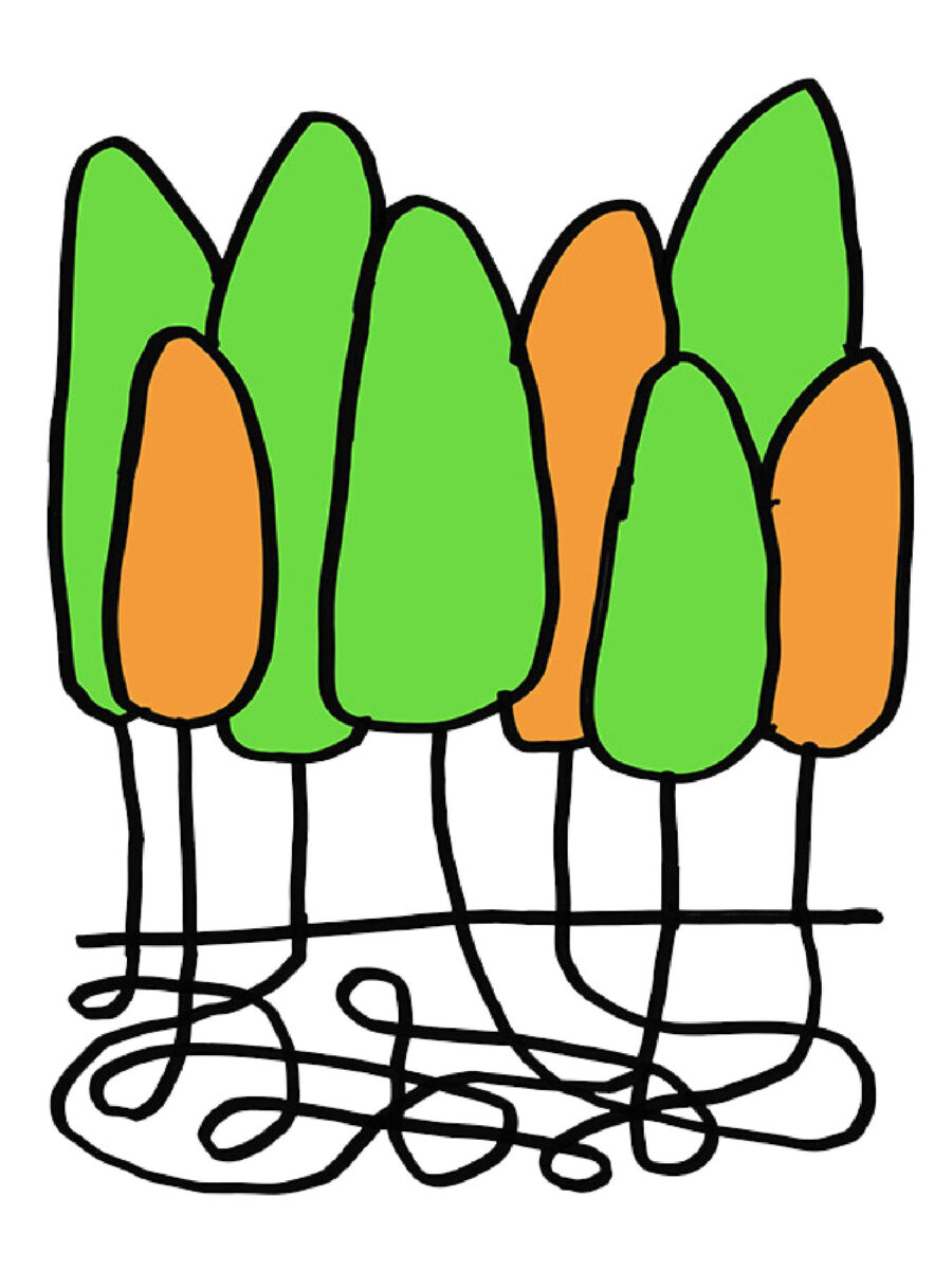 Pando Awards - Pando Populus